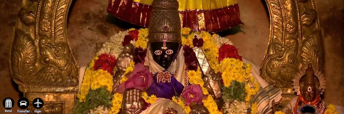 Nirvana India Enterprise