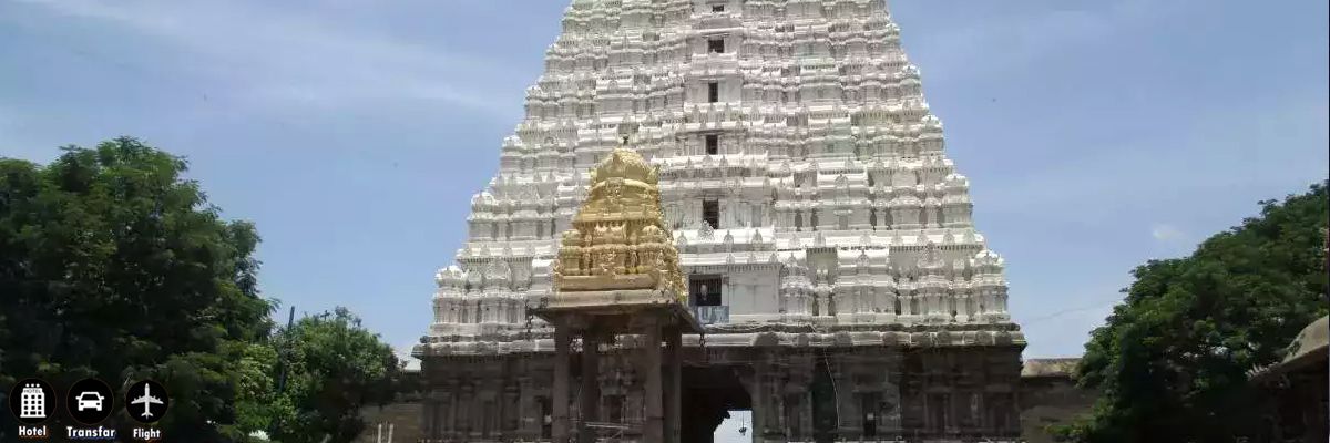 Nirvana India Enterprise